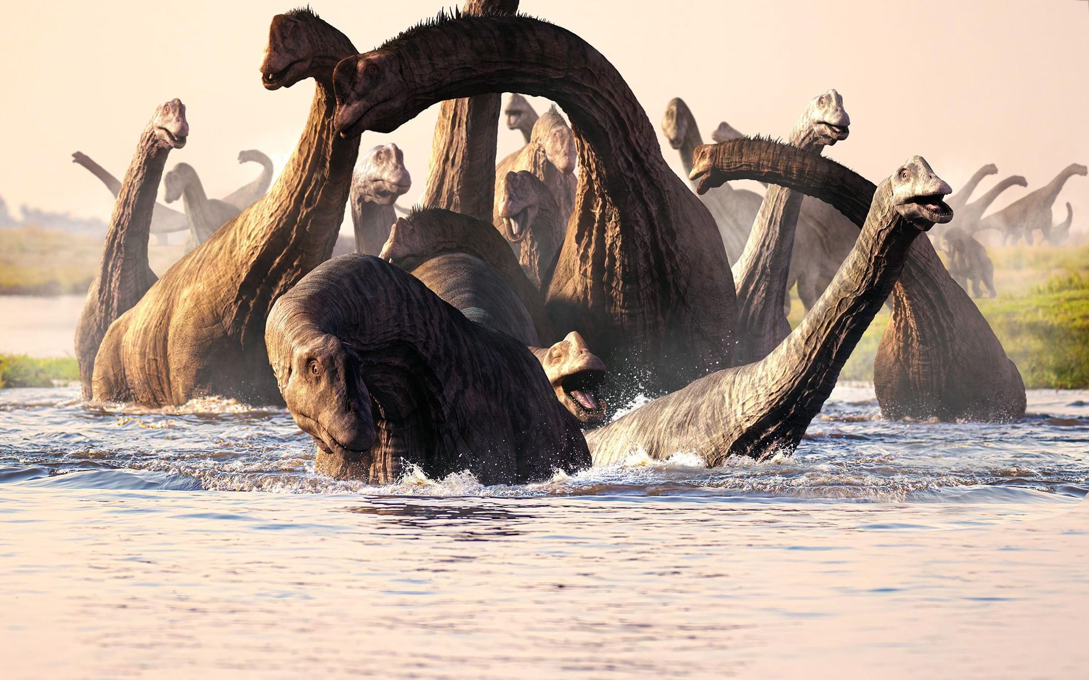 Julian Johnson-mortimer Visual Effect's