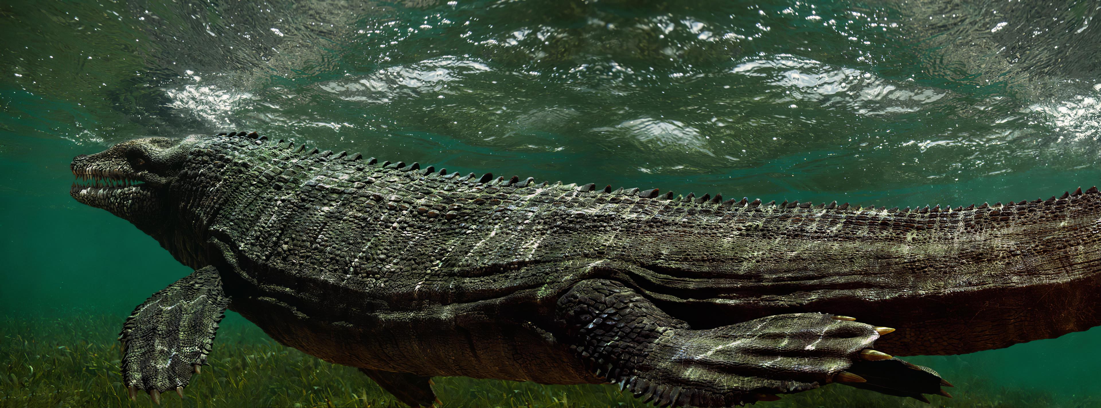 Julian Johnson-mortimer Visual Effect's