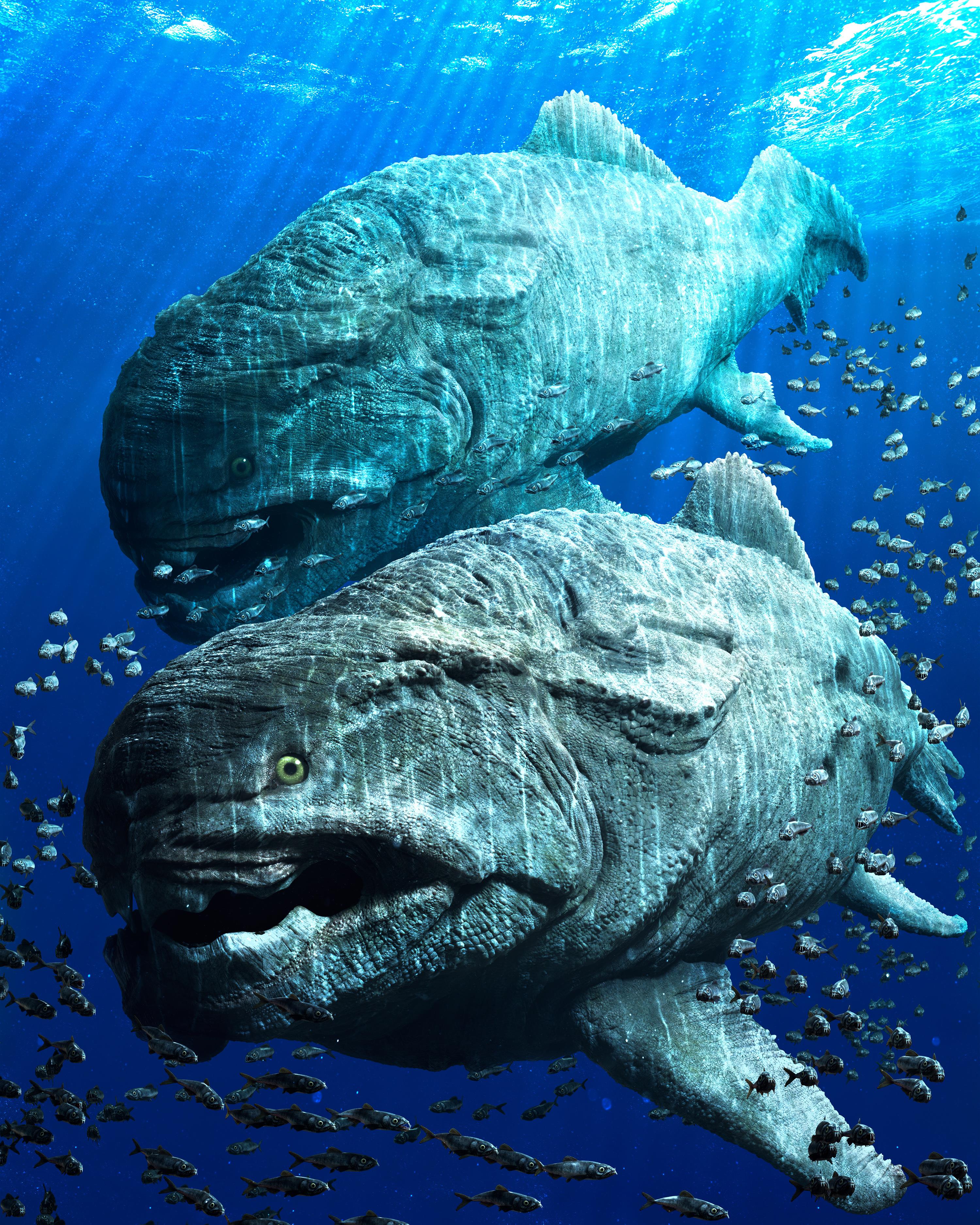 Julian Johnson-mortimer Visual Effect's