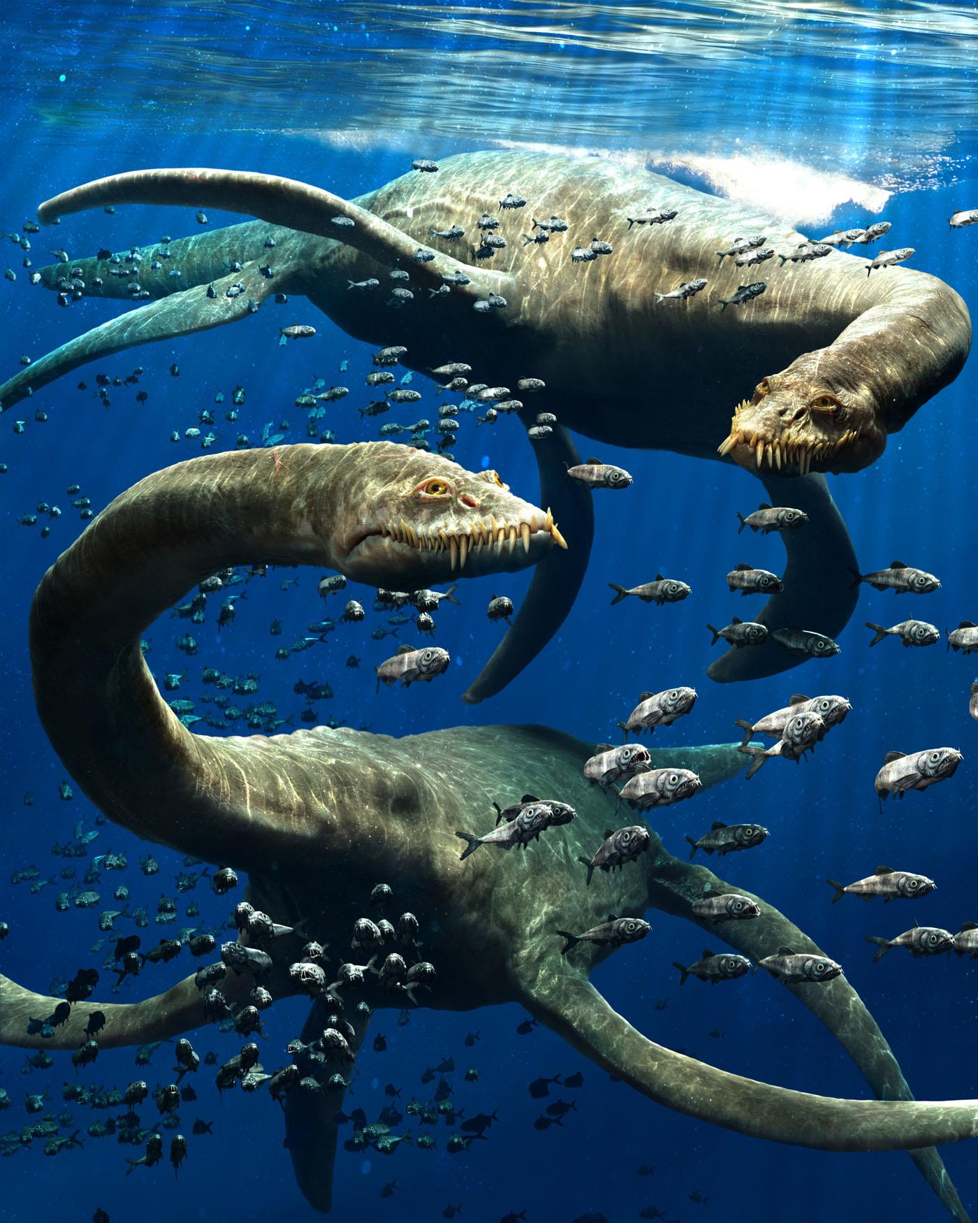 Julian Johnson-mortimer Visual Effect's