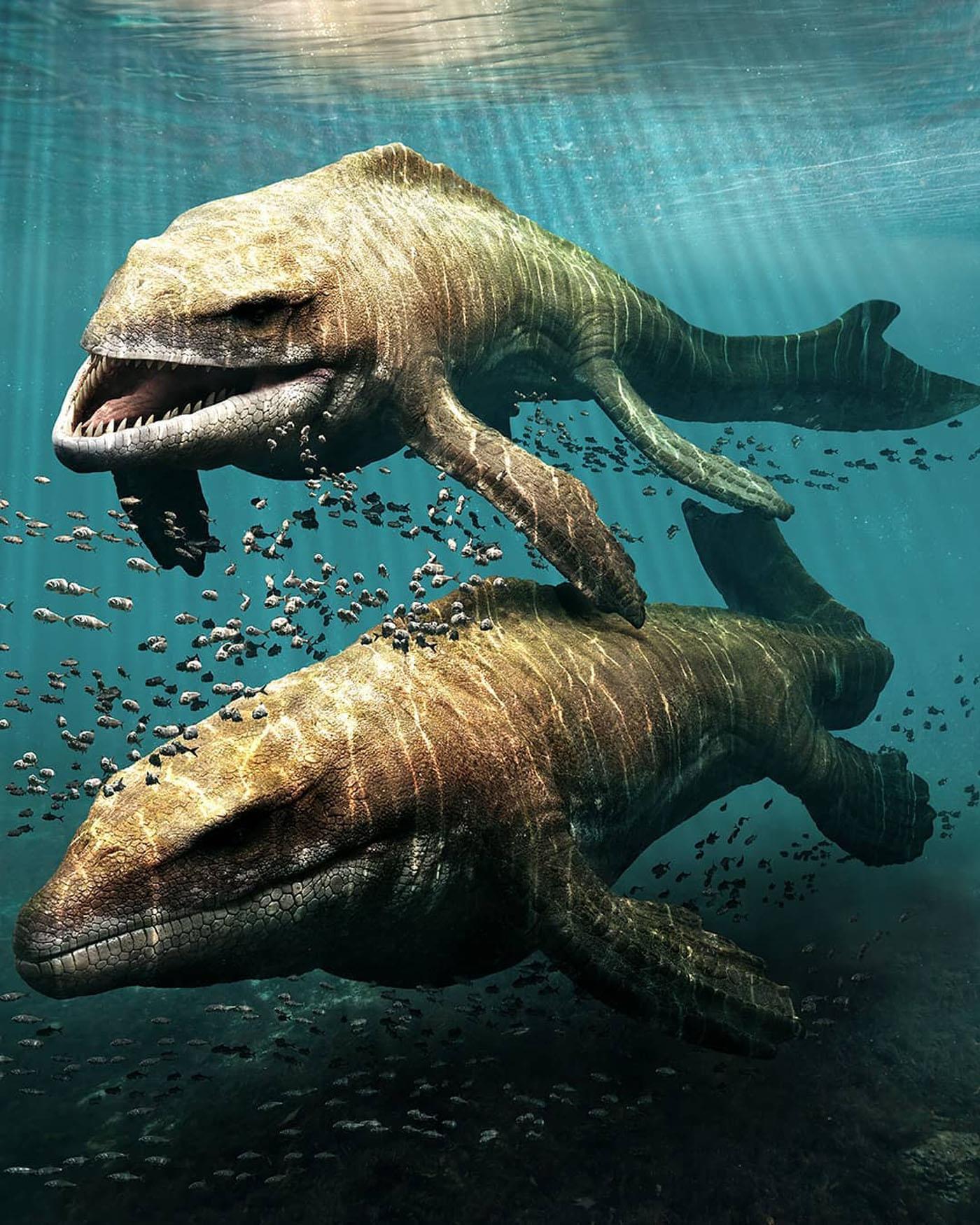 Julian Johnson-mortimer Visual Effect's