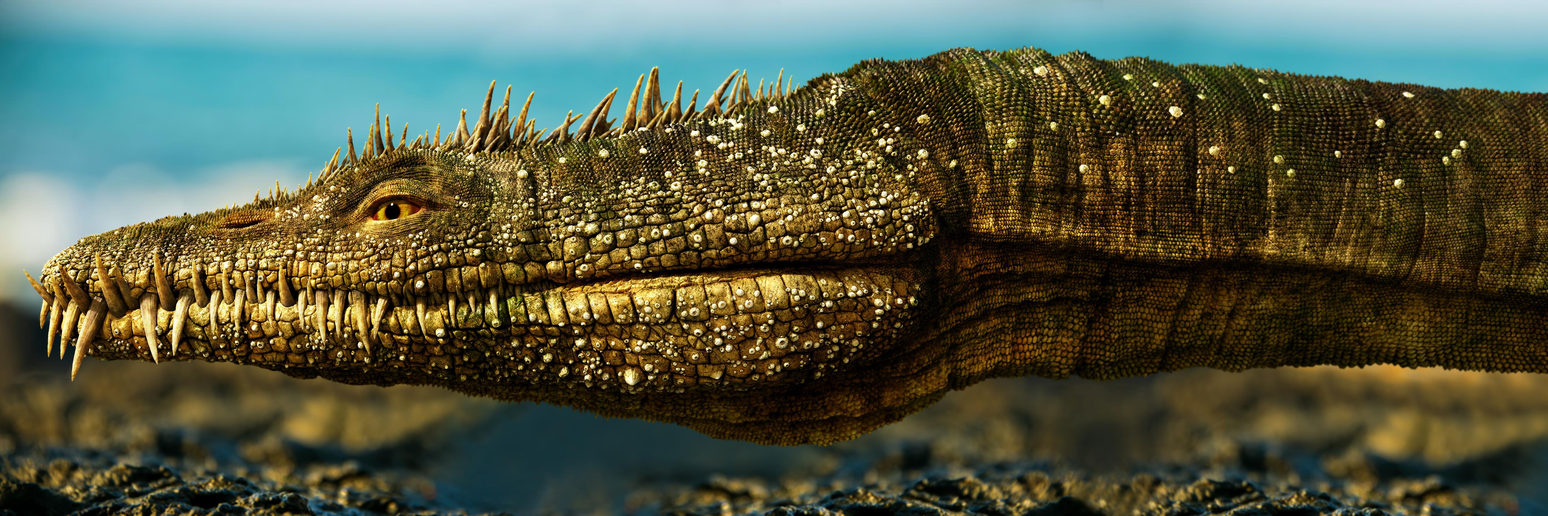 Julian Johnson-mortimer Visual Effect's