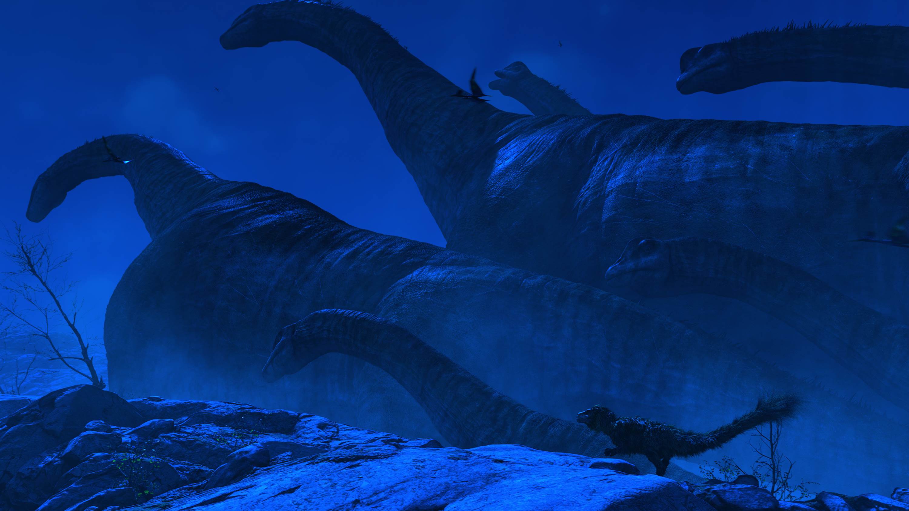 Julian Johnson-mortimer Visual Effect's