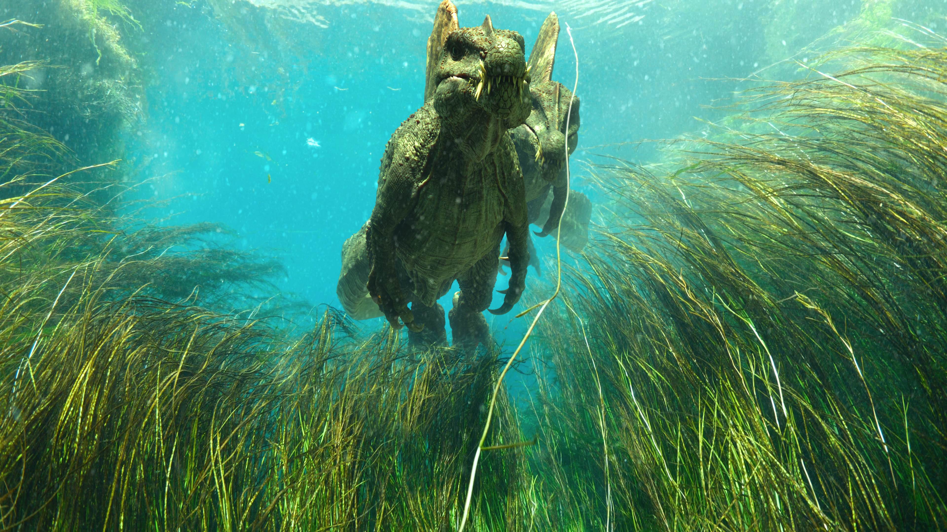 Julian Johnson-mortimer Visual Effect's