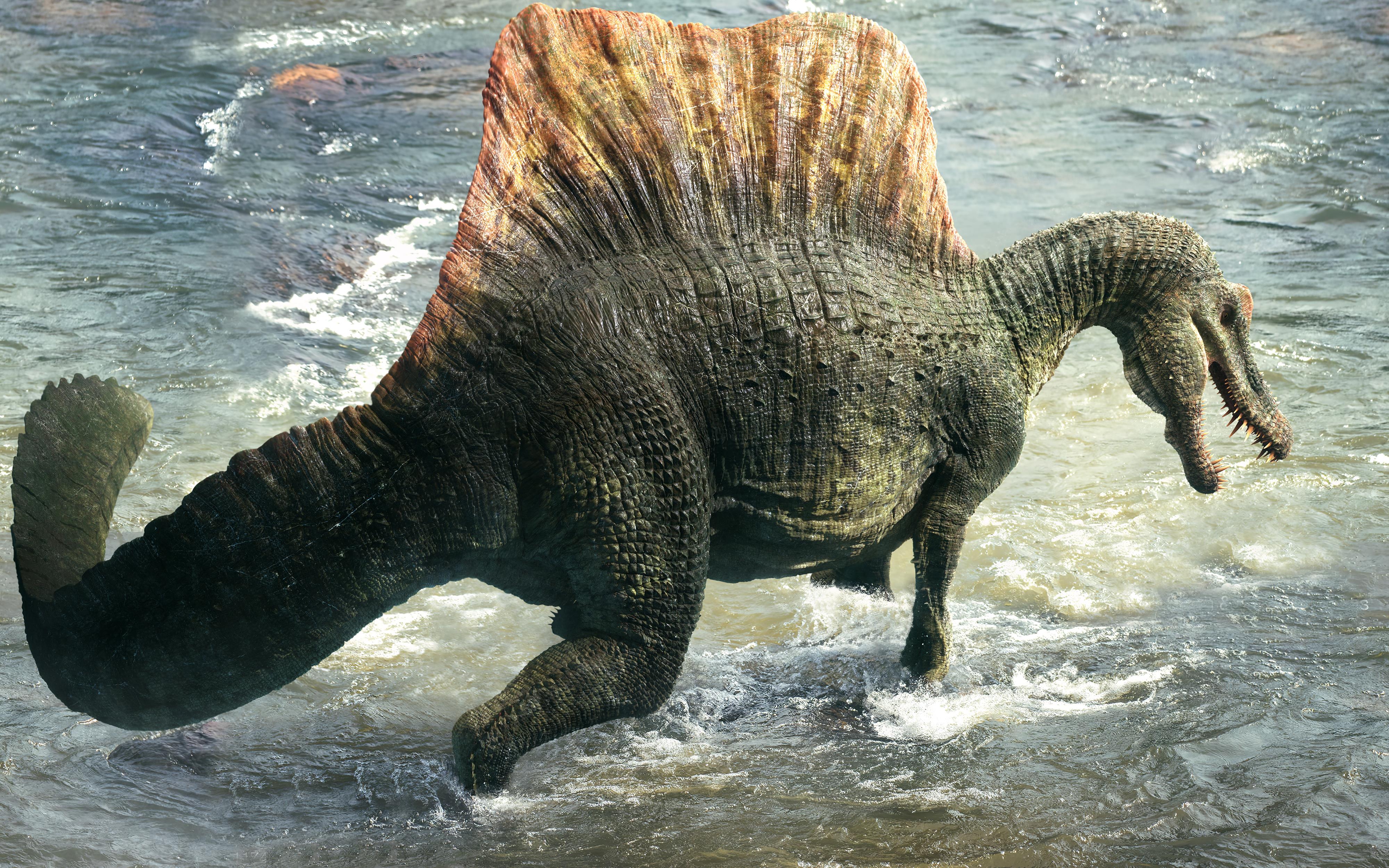 Julian Johnson-mortimer Visual Effect's