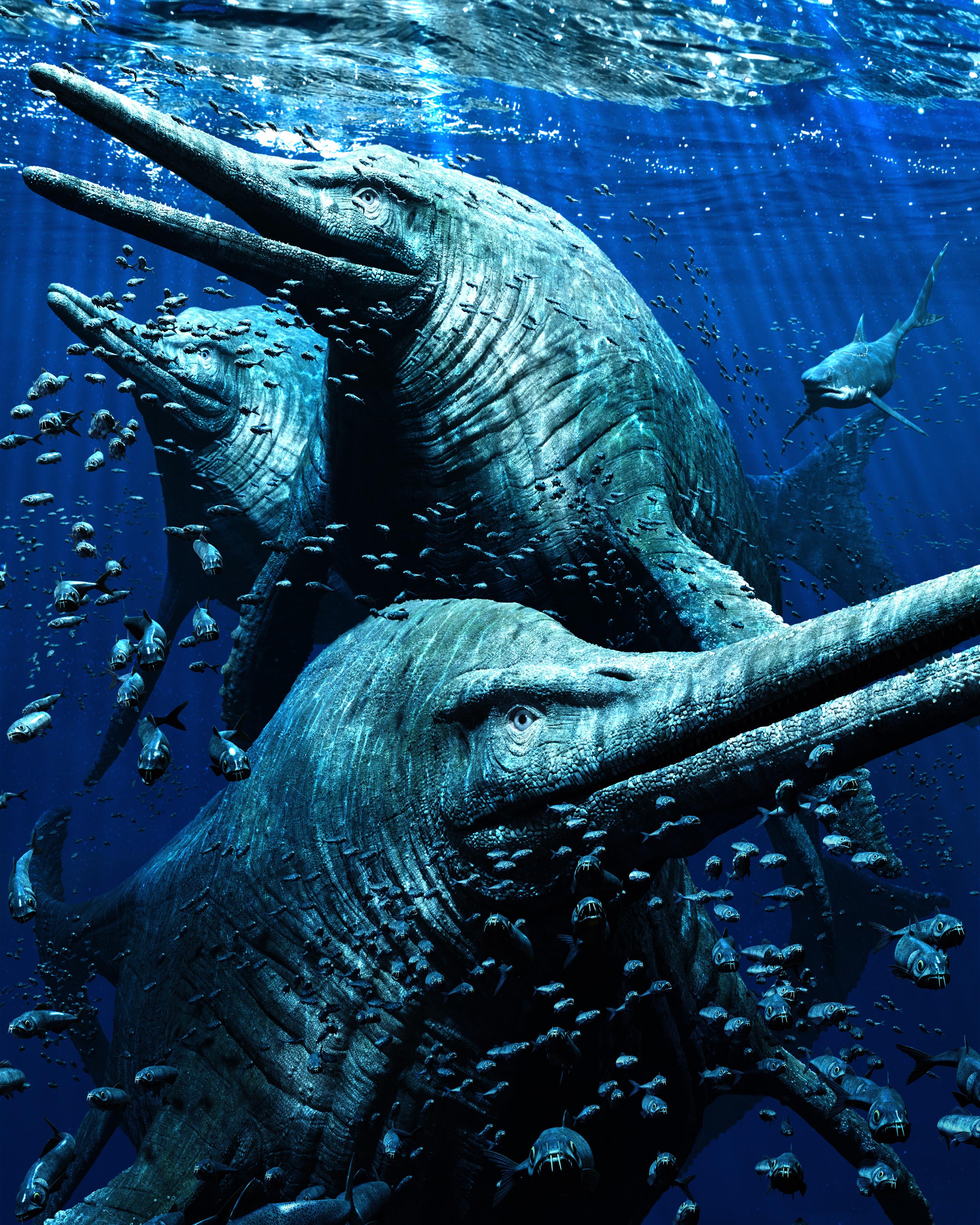 Julian Johnson-mortimer Visual Effect's