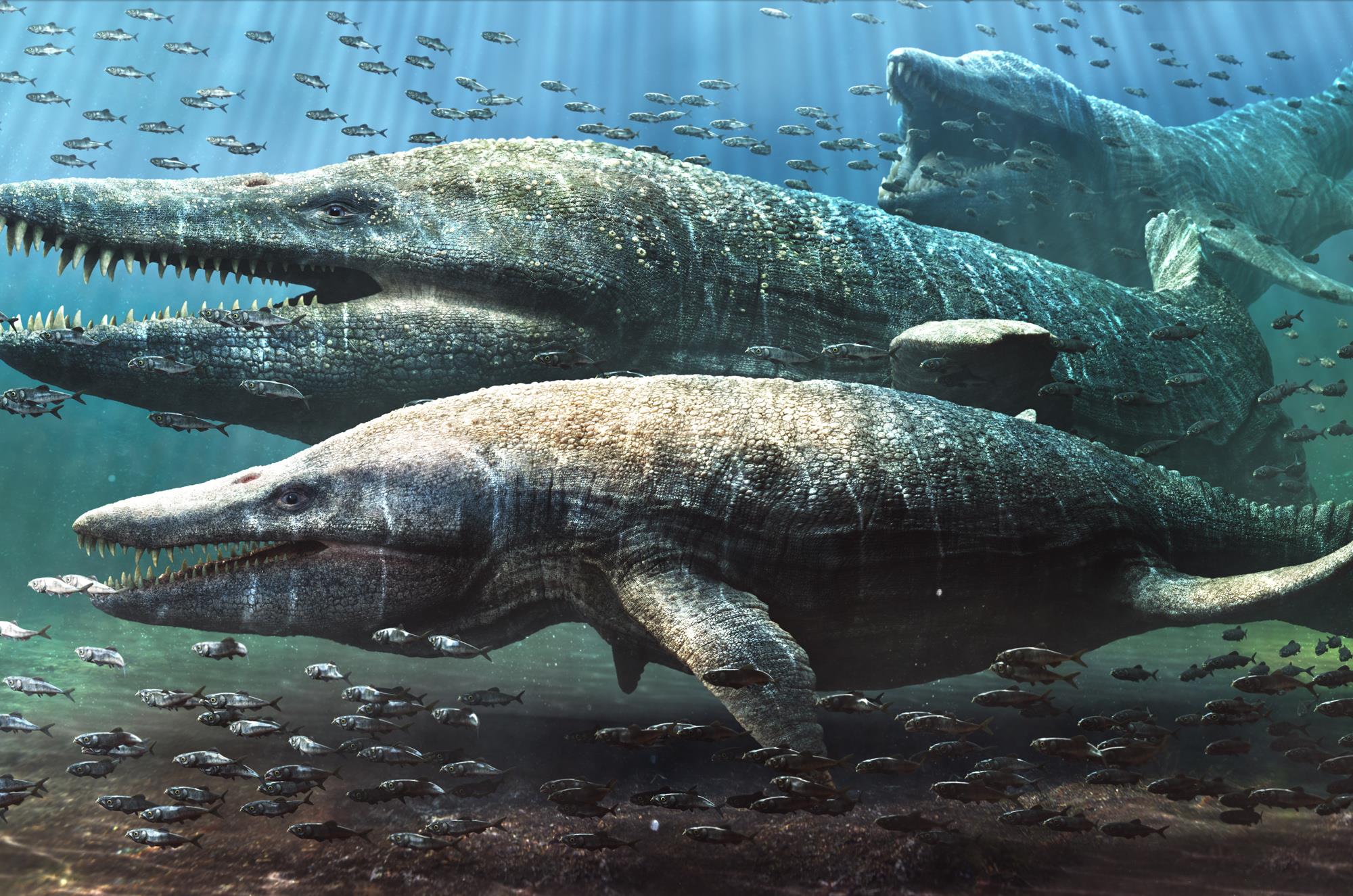 Julian Johnson-mortimer Visual Effect's