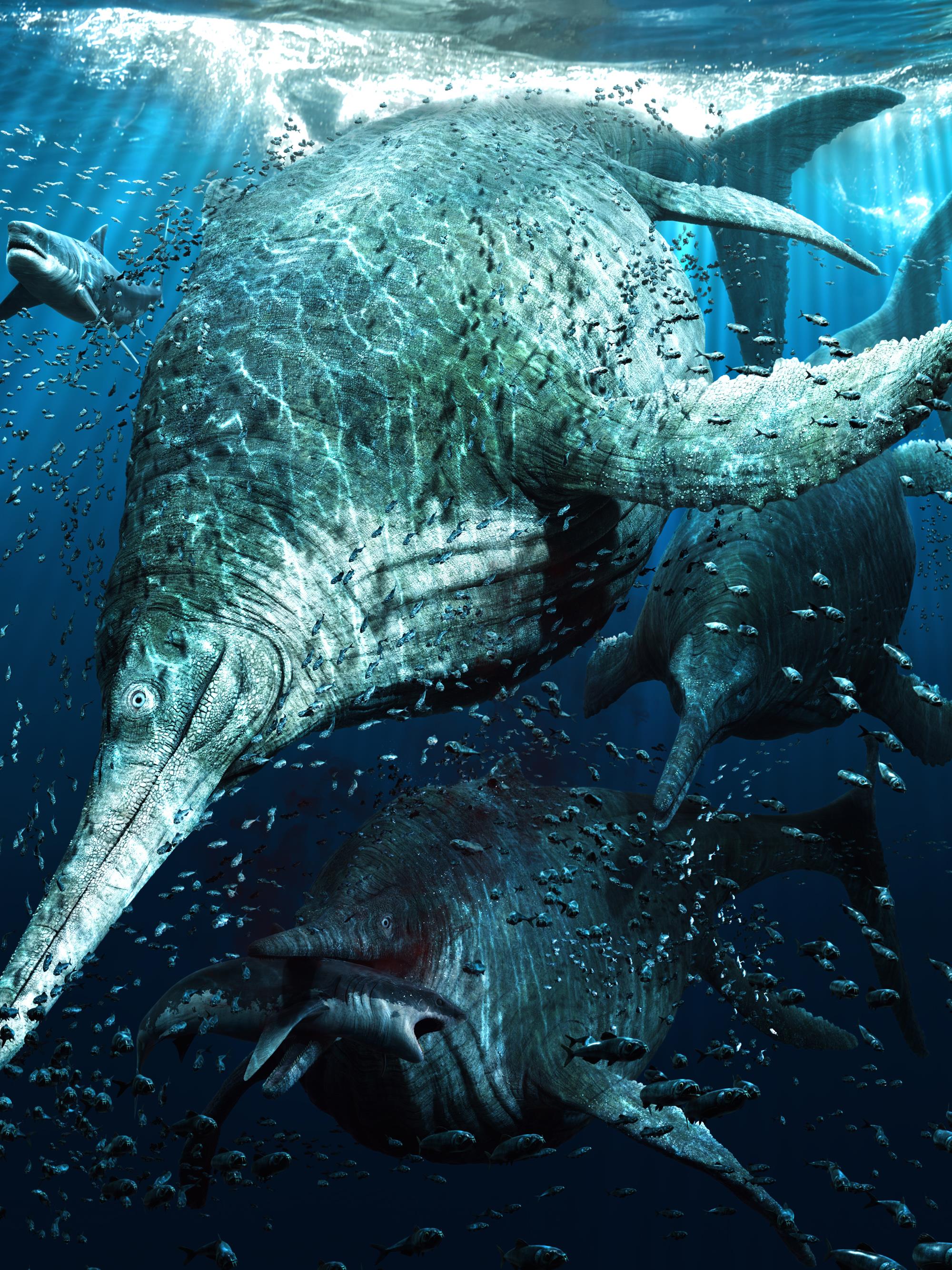 Julian Johnson-mortimer Visual Effect's