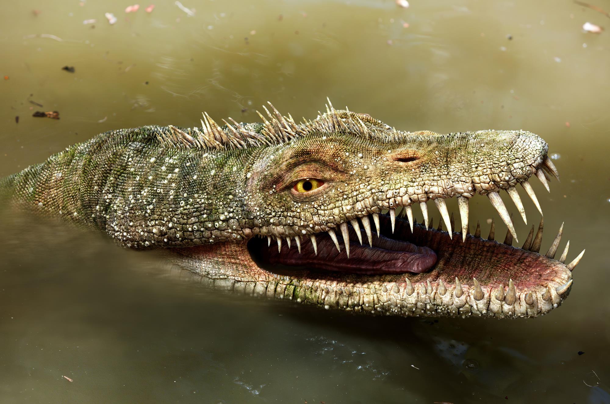 Julian Johnson-mortimer Visual Effect's