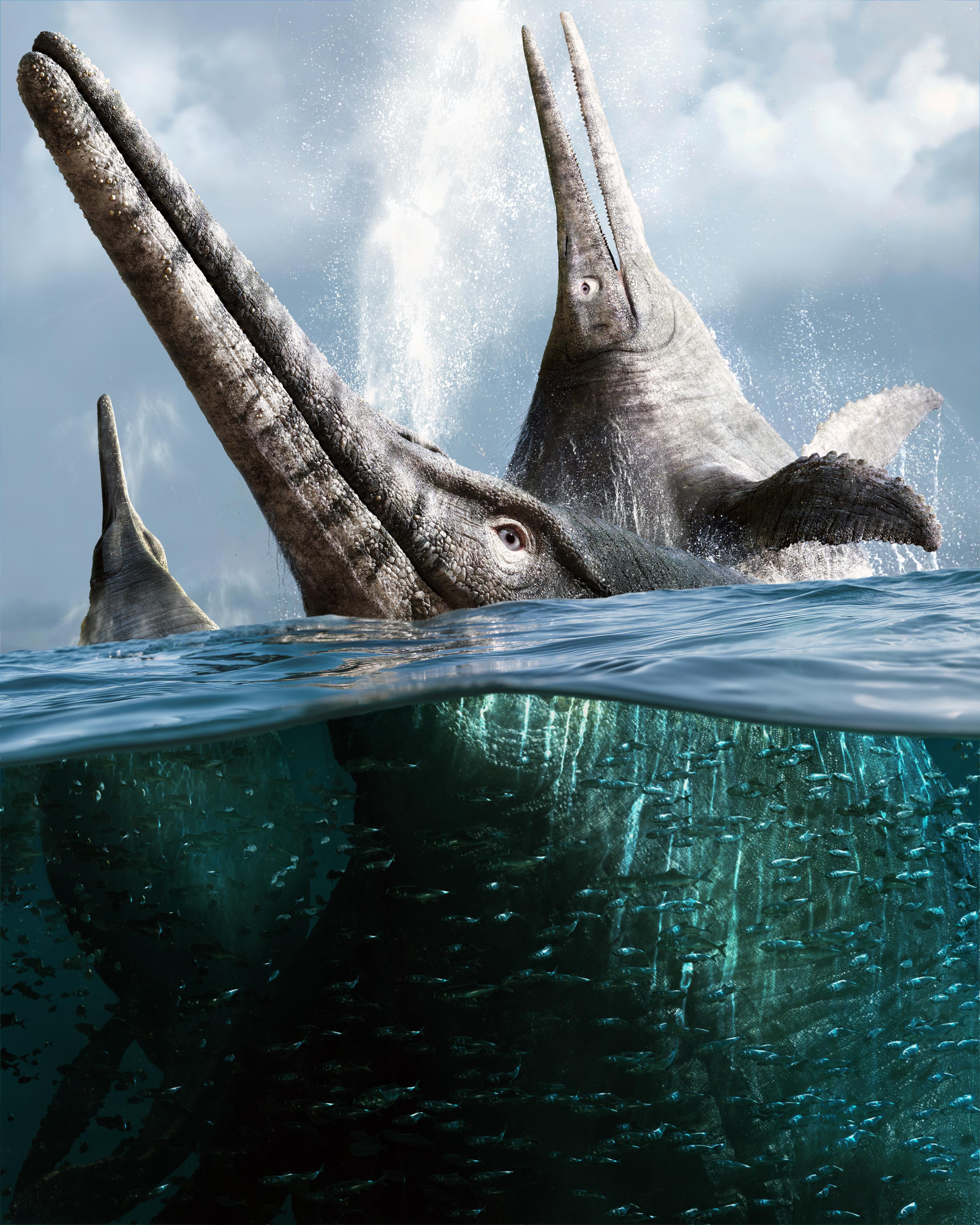 Julian Johnson-mortimer Visual Effect's